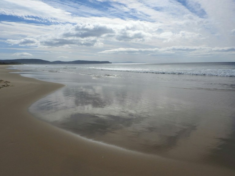 A day trip to Bruny Island – Lindy Whitton Studio