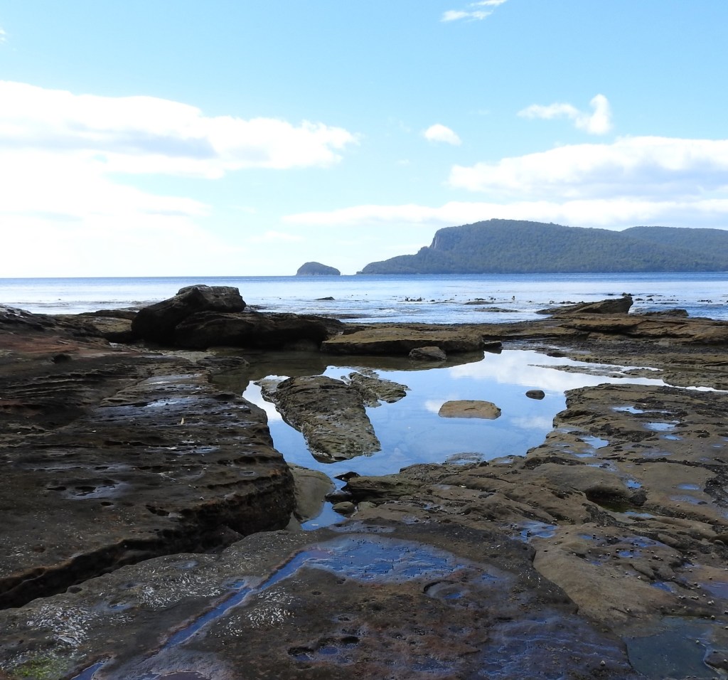 A day trip to Bruny Island – Lindy Whitton Studio