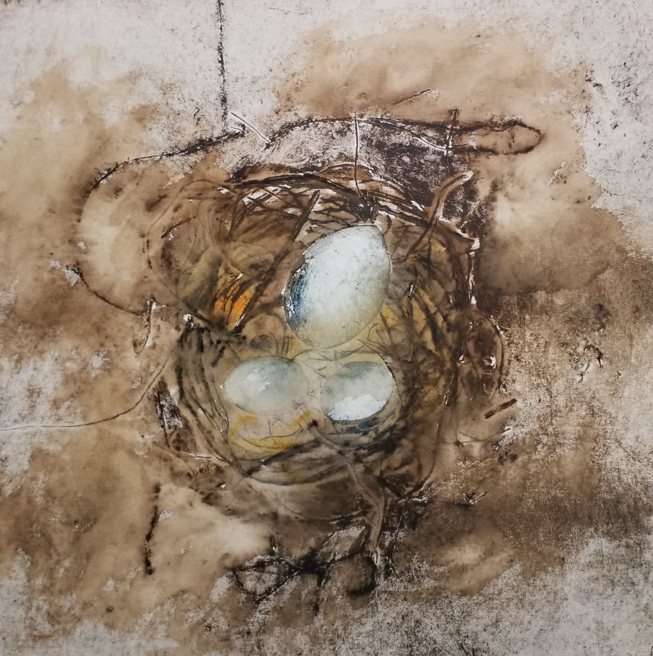 Collagraph Printmaking Lindy Whitton Studio