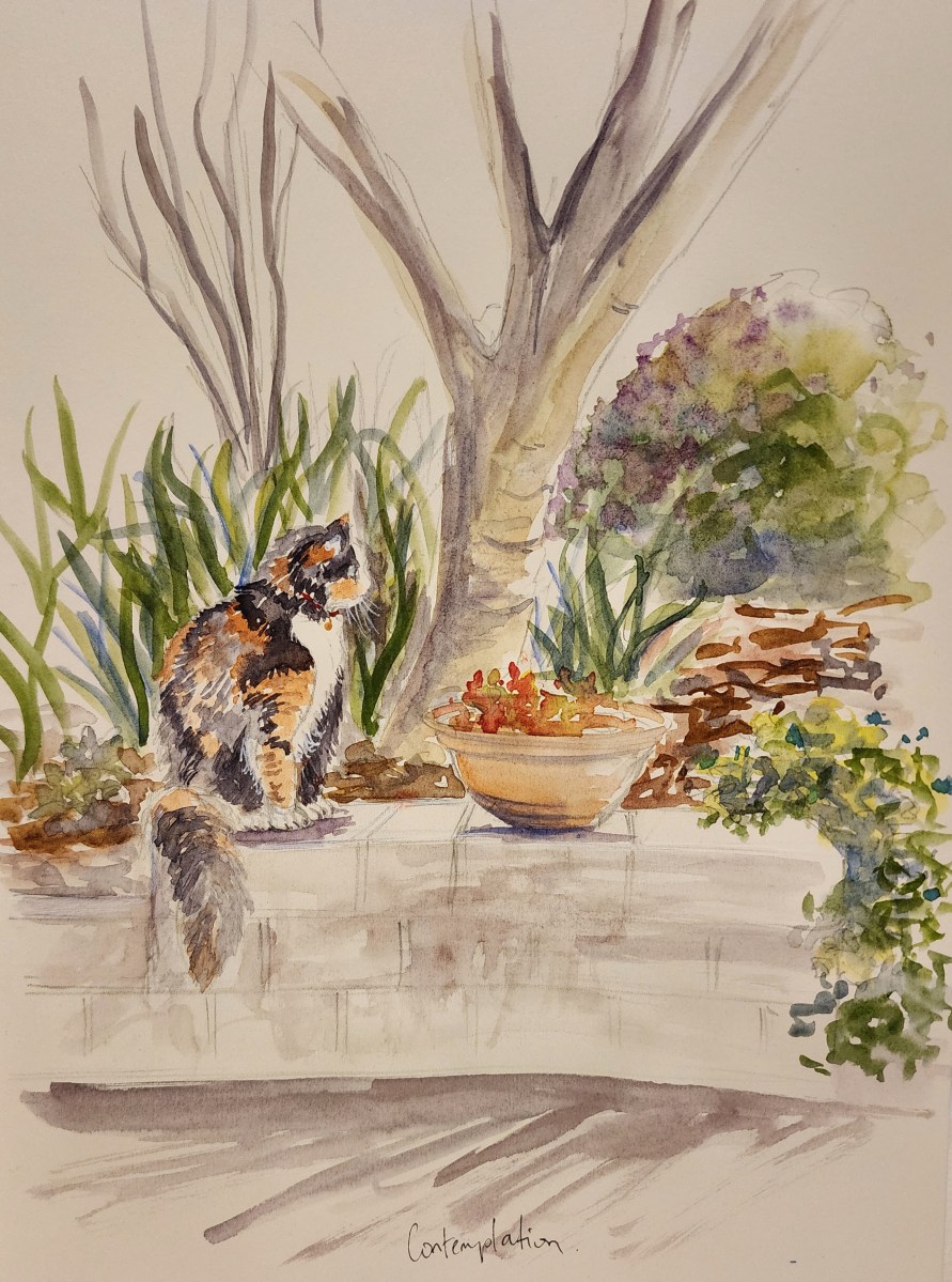 Evening Contemplation: Postcard No 125 – Lindy Whitton Studio